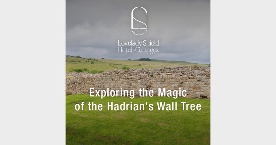 Exploring the Magic of the Hadrian's Wall Tree